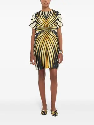 Roberto Cavalli Abstract-print Dress