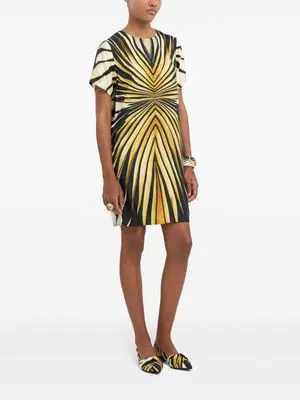 Roberto Cavalli Abstract-print Dress