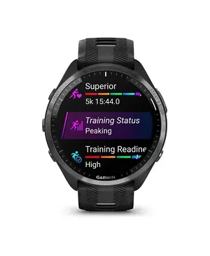 Garmin