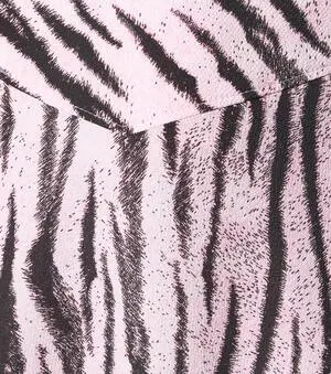Baum Und Pferdgarten Senga Tiger-print Midi Skirt