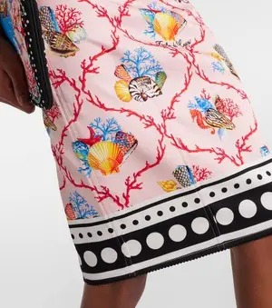 Dolce & Gabbana Capri Printed Minidress