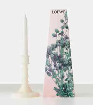 Loewe Oregano Scented Candle
