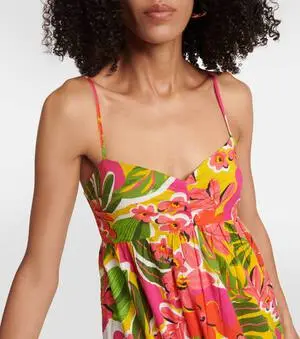 Velvet By Graham & Spencer Kayla Printed Cotton Top