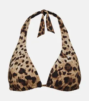 Dolce & Gabbana Leopard-print Bikini Top - Multicoloured