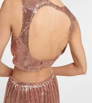 Rabanne Metallic Mesh Cropped Top