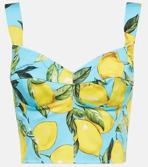 Dolce & Gabbana Printed Cotton-blend Bustier Top - Blue