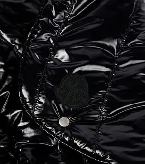 Moncler 6 1017 Alyx 9sm Dog Coat
