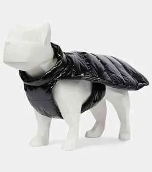 Moncler 6 1017 Alyx 9sm Dog Coat