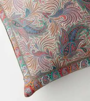Etro Embroidered Cotton Cushion
