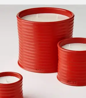 Loewe Tomato Leaves Medium Candle