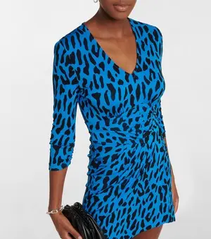 Diane Von Furstenberg David Leopard-print Minidress