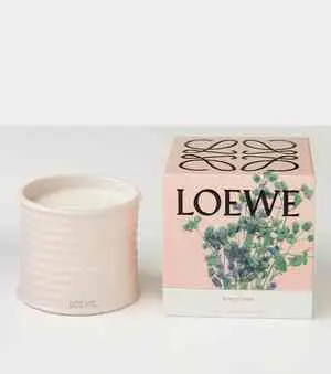 Loewe Oregano Medium Scented Candle