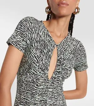 Proenza Schouler White Label Zebra-print Maxi Dress