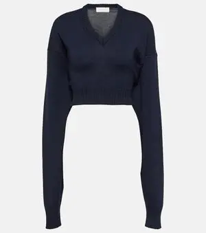 Sportmax Cropped Sweaters For Women