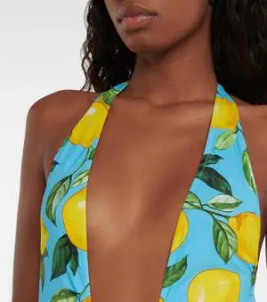 Dolce & Gabbana Printed Halterneck Swimsuit