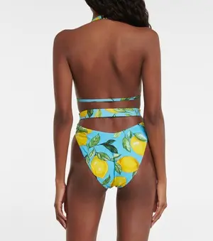 Dolce & Gabbana Printed Halterneck Swimsuit