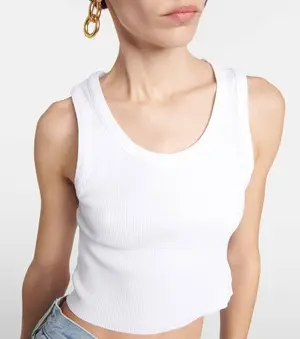AGOLDE Ribbed Knit Crop Top