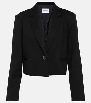 Velvet By Graham & Spencer Anya Cropped Blazer