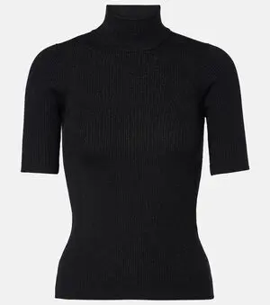 Max Mara Alce Turtleneck Top