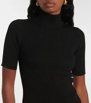 Max Mara Alce Turtleneck Top