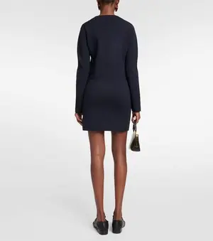 Max Mara Eridani Mini Dress