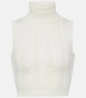 Max Mara Oscuro Wool And Cashmere Turtleneck Top