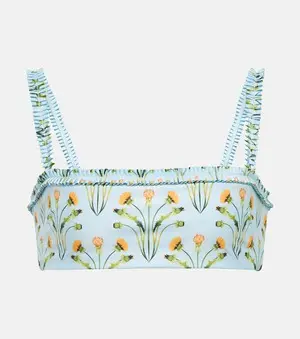 Agua Bendita Olmo Diente De Leon Bikini Top