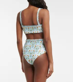 Agua Bendita Olmo Diente De Leon Bikini Top