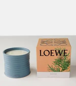 Loewe Cypress Balls Medium Scented Candle - Blue