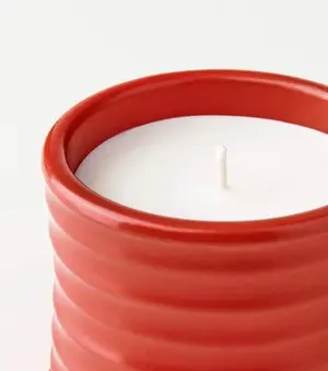 Loewe Tomato Leaves Small Scented Candle