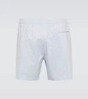 Sunspel Striped Swim Trunks - Multicoloured