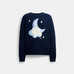 COACH Graphic Intarsia Crewneck Sweater
