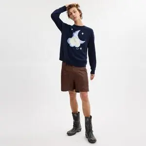 COACH Graphic Intarsia Crewneck Sweater