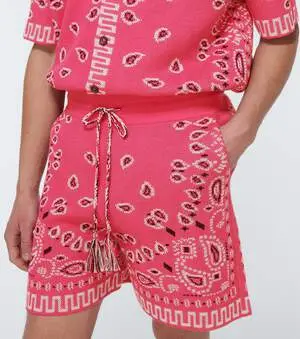 Alanui Cotton-blend Bandana Print Shorts