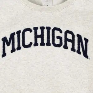 ZOOZATZ Michigan Wolverines Core Chenille Cropped Pullover Sweatshirt