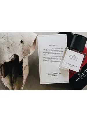 OLFACTIVE O Eau De Parfum