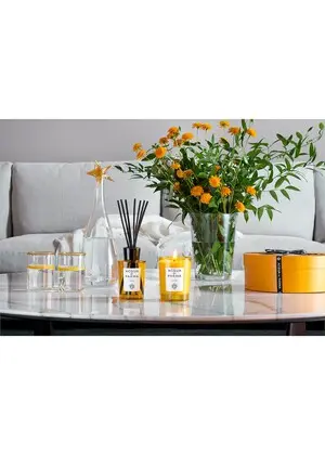 ACQUA DI PARMA Insieme Room Diffuser