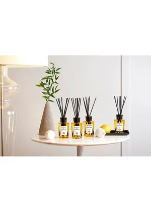 ACQUA DI PARMA Insieme Room Diffuser