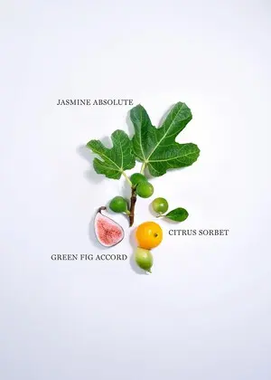 LANCOME Maison Figues & Agrumes Eau De Parfum