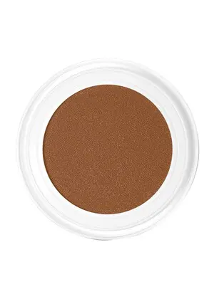 CHANTECAILLE Future Skin Cushion Foundation