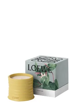 Loewe Honeysuckle Candle - Na