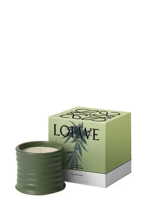 Loewe Marihuana Candle