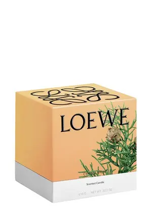 Loewe Cypress Balls Candle