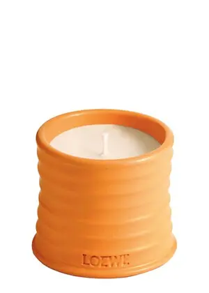 Loewe Orange Candle - Blossom