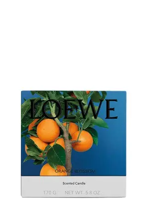 Loewe Orange Candle