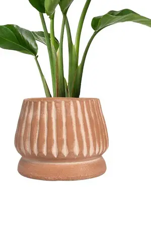 MESO GOODS Mateo Planter