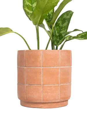 MESO GOODS Grid Terracotta Planter