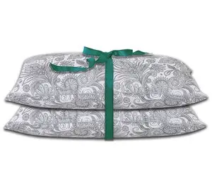 DOCTOR PILLOW Dr Pillow Paisley Pedic Pillow 2 Pack Of Pillow - One-color