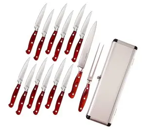 BERGHOFF Pakka Wood 15pc Steak & Carving Set - One-color