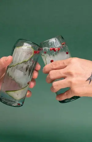 ZORRO Y JAGUAR Vestigo Glassset Of 2